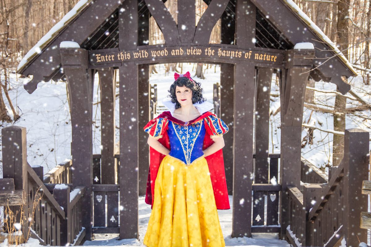 Fairytale Princess Gallery – Fairytale Birthday Company LLC